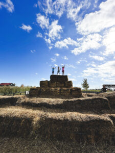 Evans Orchard | Georgetown, KY | julie-tanner.com