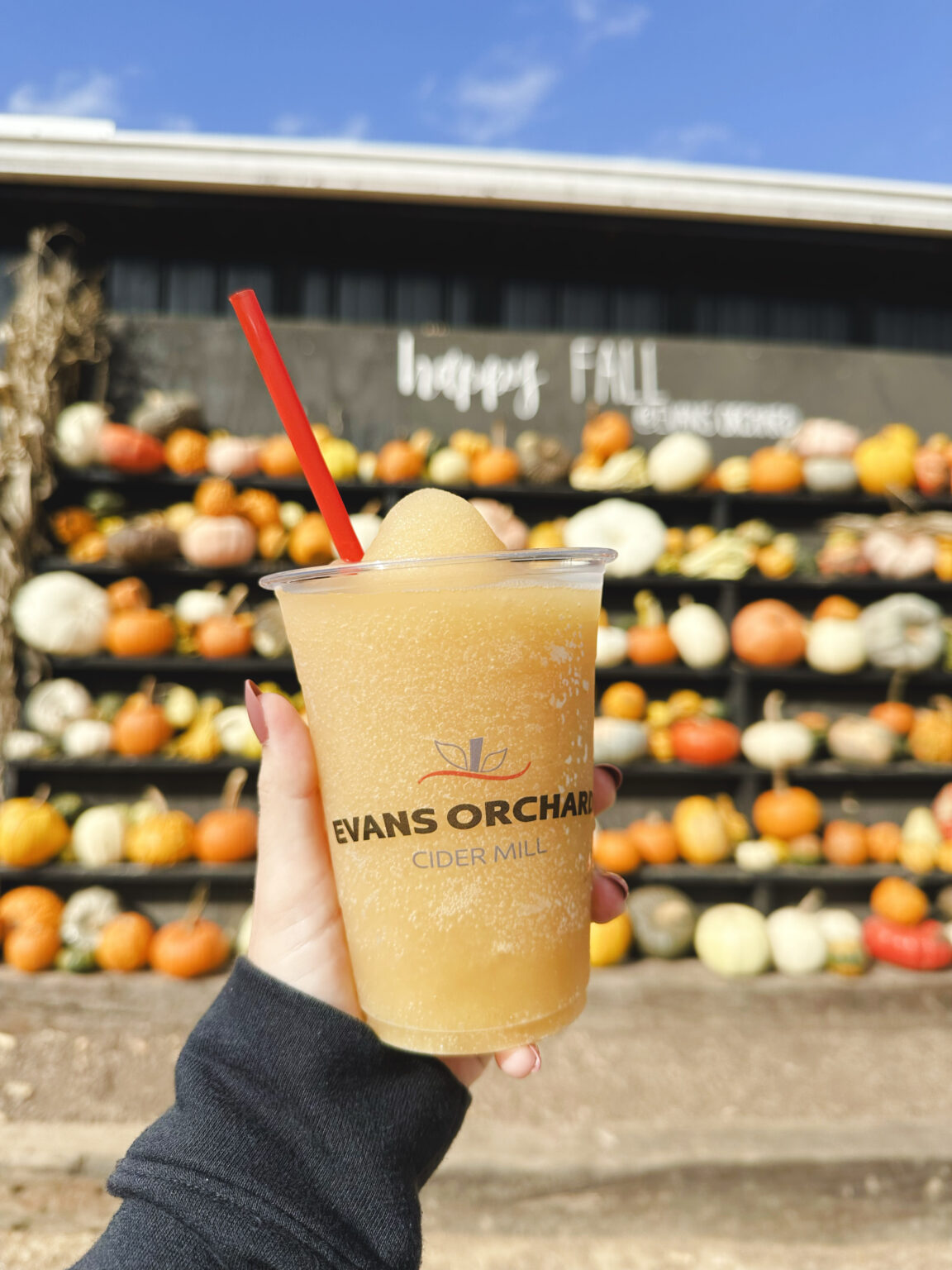 Evans Orchard | Georgetown, KY | julie-tanner.com